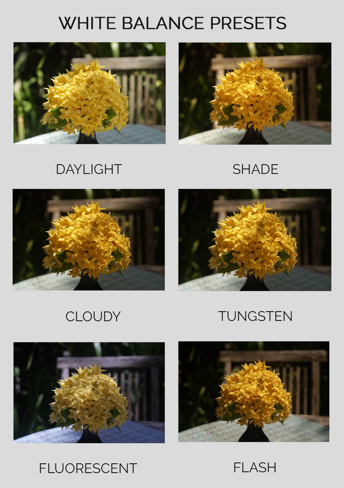 Introduction to White Balance - christopherkhoitran